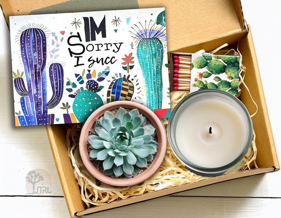 I’m Sorry I Succ Apology Gift Box – Succulent + Candle - Etsy