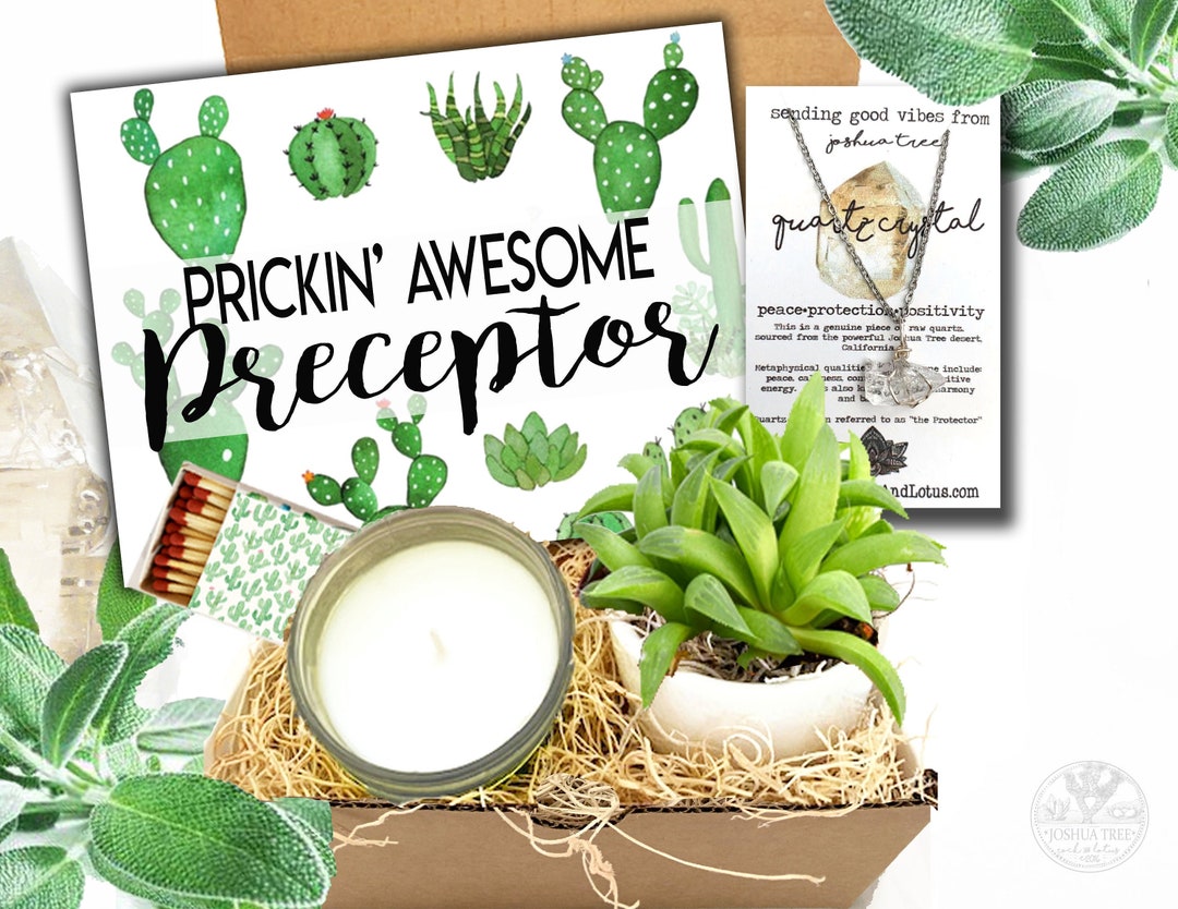 Prickin Awesome Preceptor Gift Box Real Crystal Necklace & Succulent ...