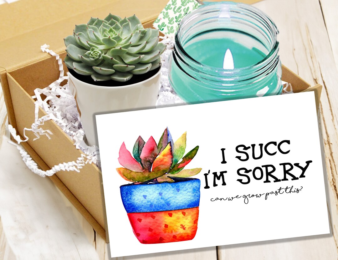 Apology Gift I Succ I'm Sorry Succulent Mini Gift Box Sunshine Gift ...
