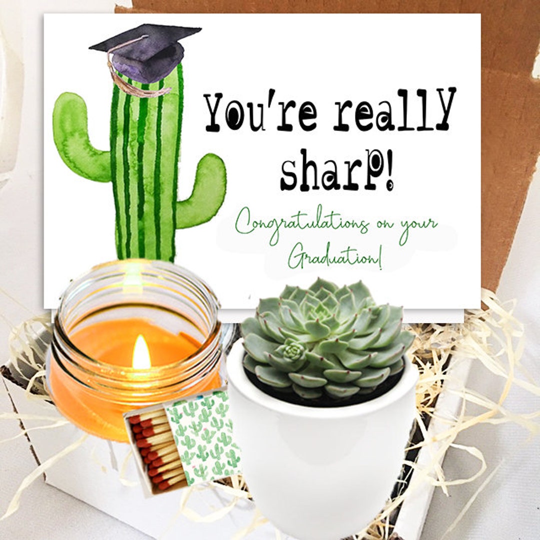 Congrats on Your Graduation Succulent Gift Box Set / Send a - Etsy