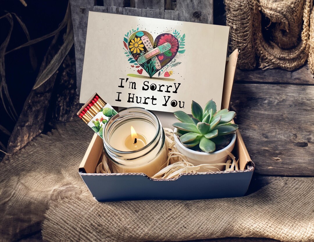 I'm Sorry I Hurt You Gift Box With Card, Live Succulent Plant and ...