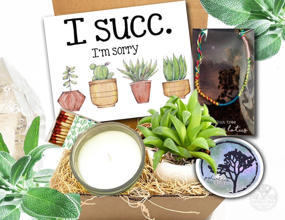 Apology Gift - I Succ - I'm Sorry Succulent Mini Gift Box - Sunshine ...
