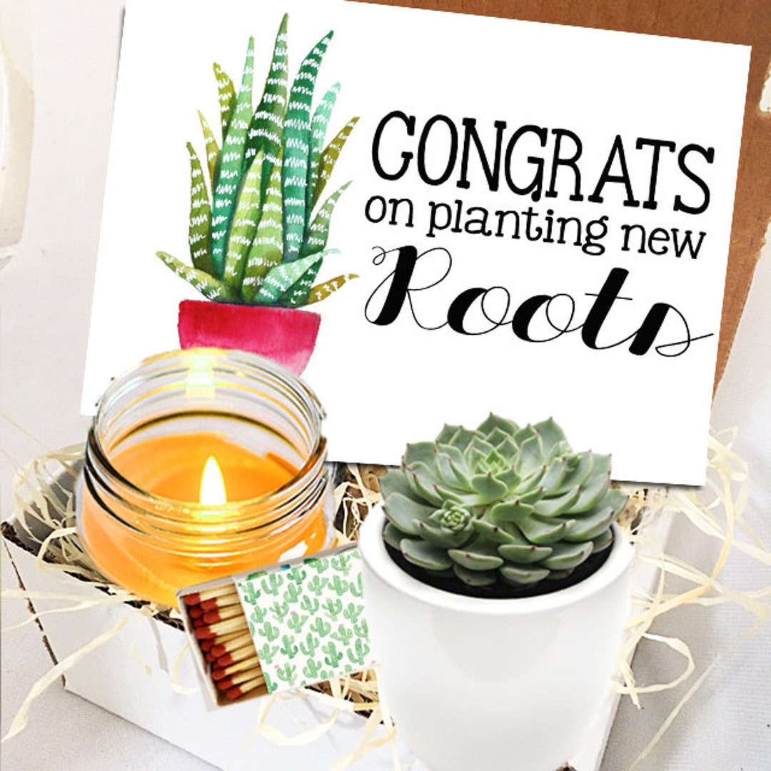 Congrats on the New Home - Moving Gift - Succulent Gift Box - Moving ...
