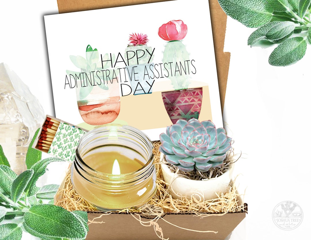 Happy Administrative Assistants Day- Succulent Gift Box - Company Gift ...