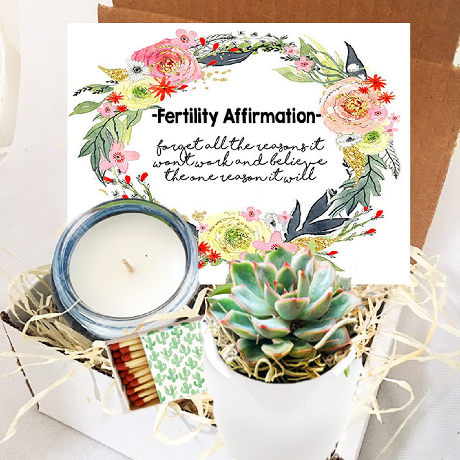 Fertility Affirmation Succulent Gift Box Gift Box for Friend - Etsy