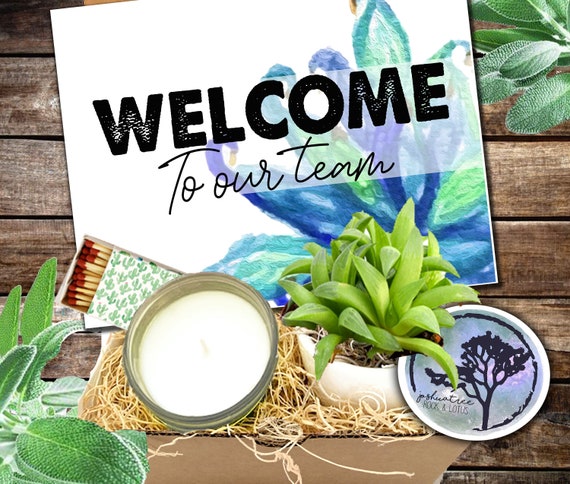 Welcome to Our Team Succulent Gift Box Corporate Gift New - Etsy