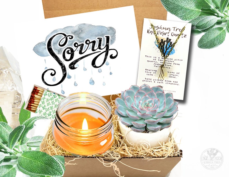 Sorry Succulent Gift Box Set / Send a Gift / Condolences / - Etsy