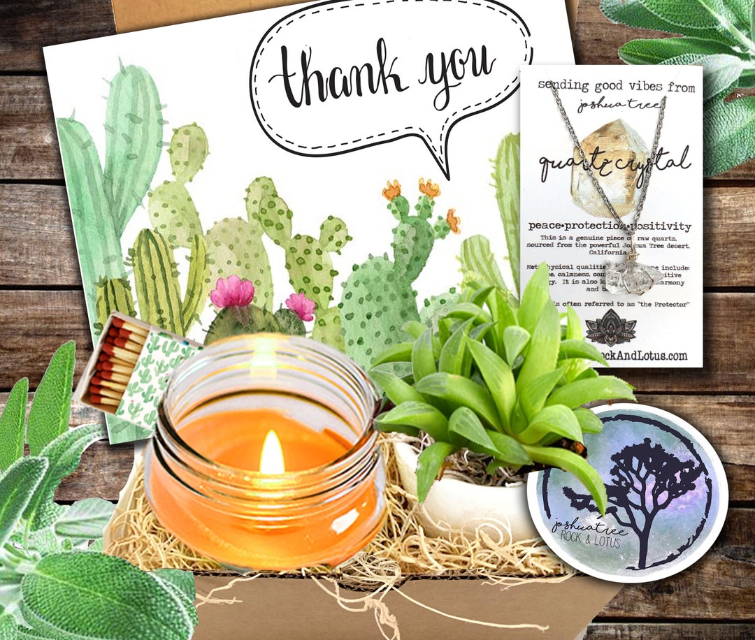 Thank You Succulent Gift Box - Custom Thank You Gift - Live Succulents ...