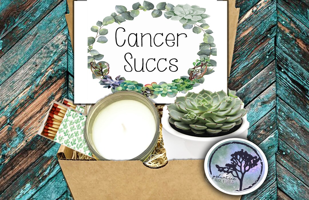 Cancer Succs - Succulent in Ceramic Pot With Candle Gift Set / Chemo ...