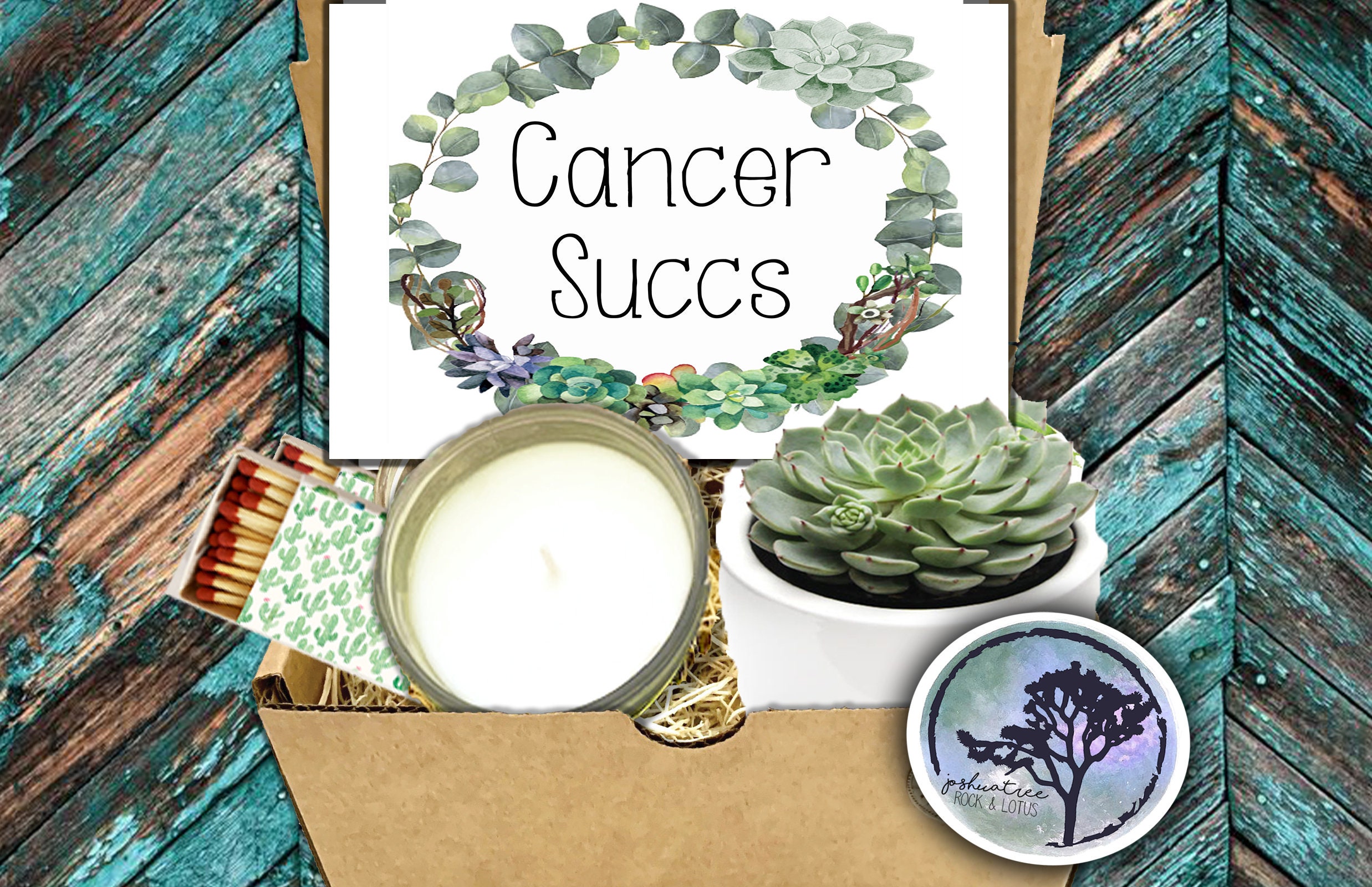 Cancer Succs Succulent in Ceramic Pot with Candle Gift Set / | Etsy