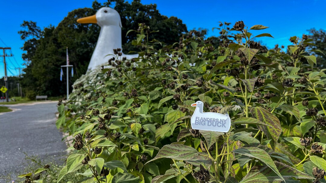 Flanders NY Big Duck Sticker - the Big Duck Fridge or Car Magnet ...