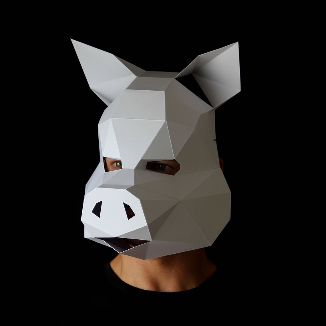 PIG Mask Make a Pig Mask With This PDF Template - Etsy UK