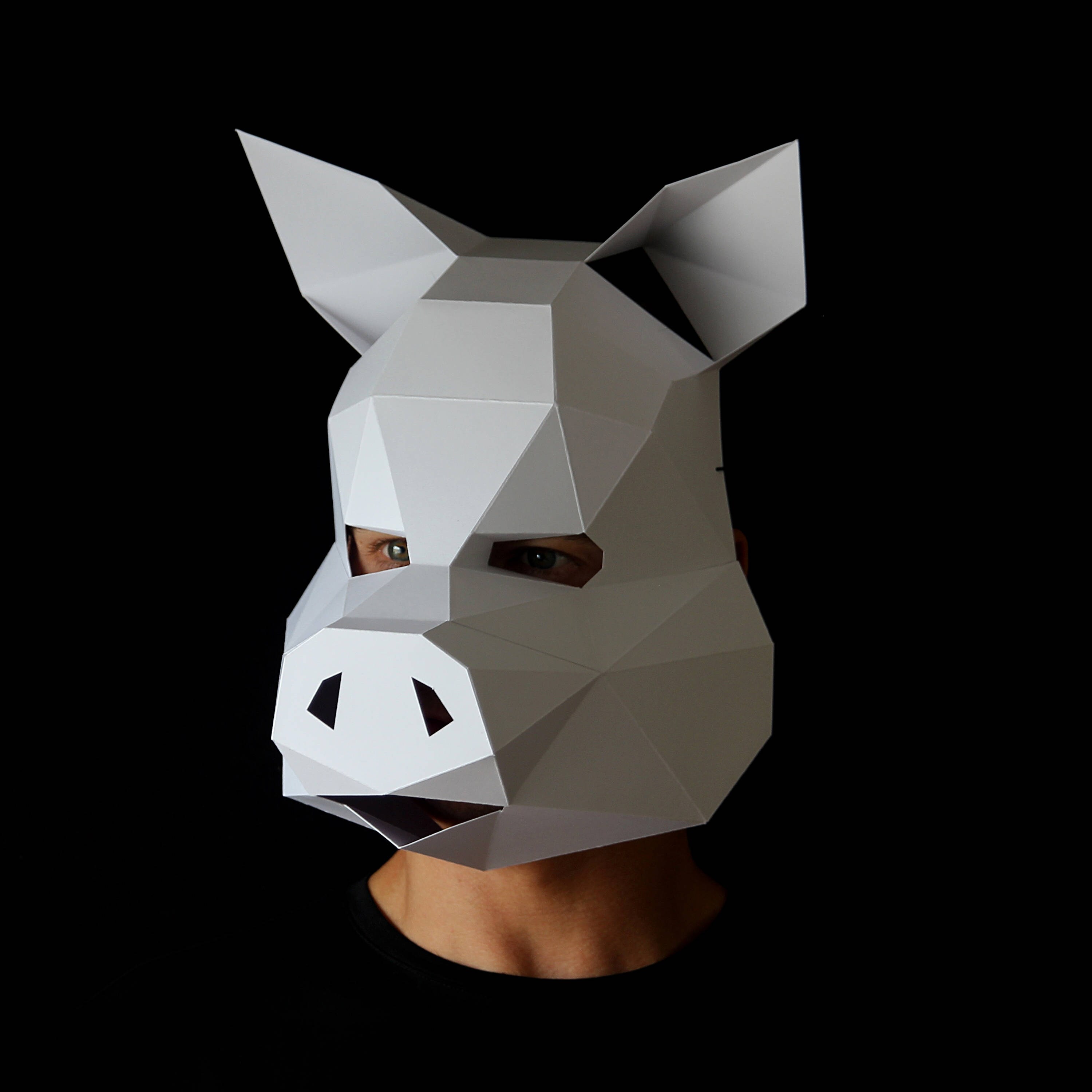 PIG Mask Make a Pig Mask With This PDF Template - Etsy UK