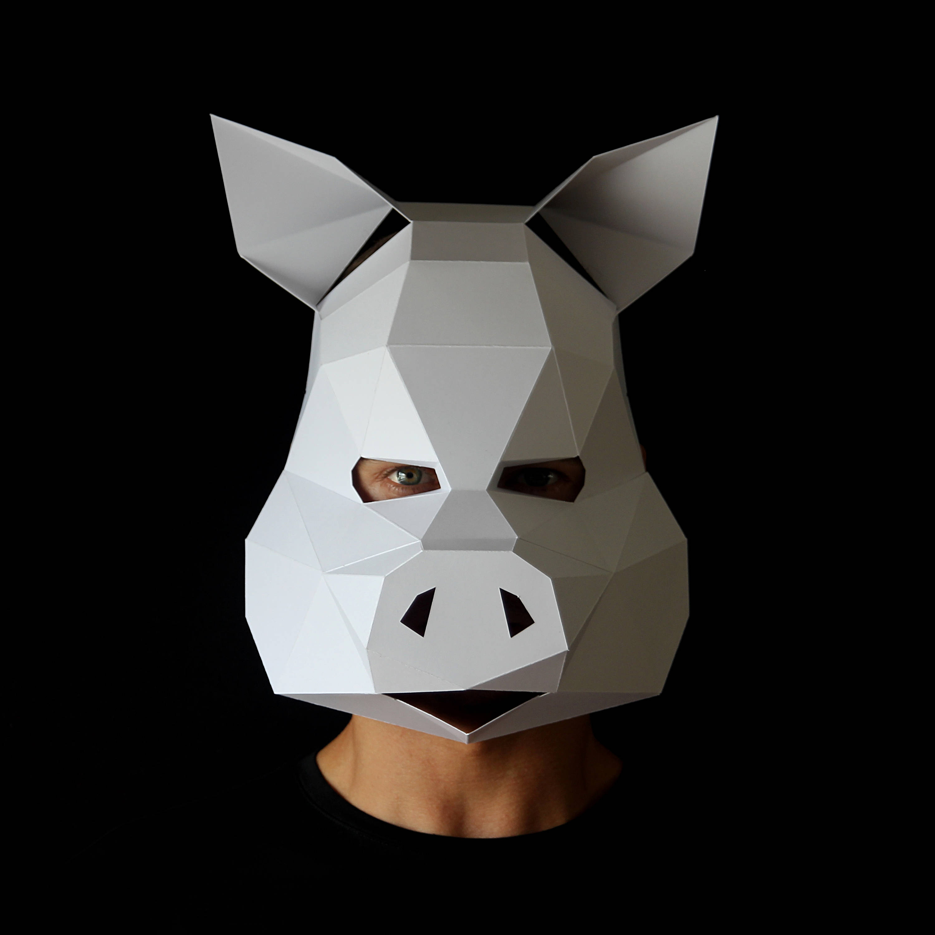 PIG Mask Make a Pig Mask With This PDF Template - Etsy UK