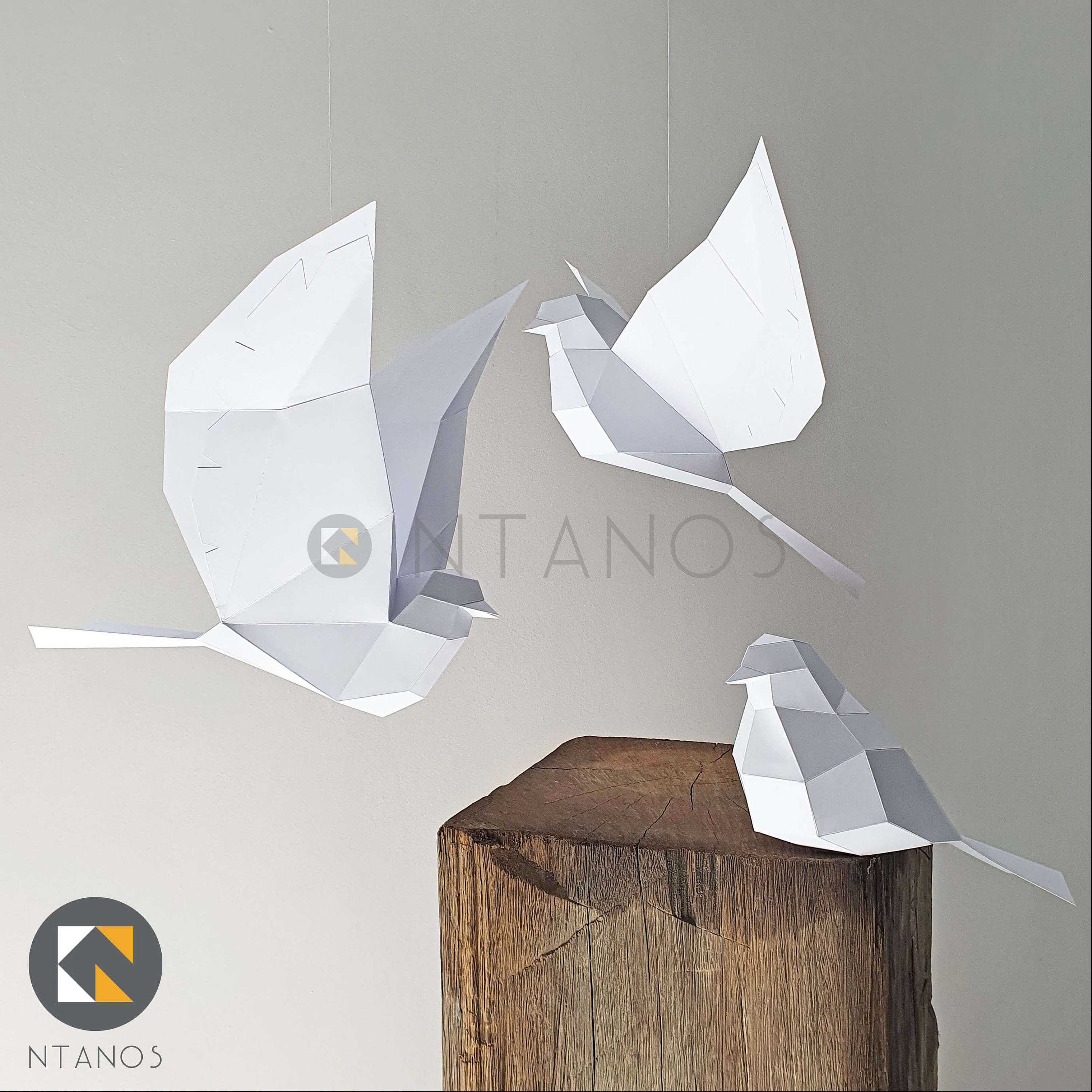 3d Cardboard Bird Craft Template