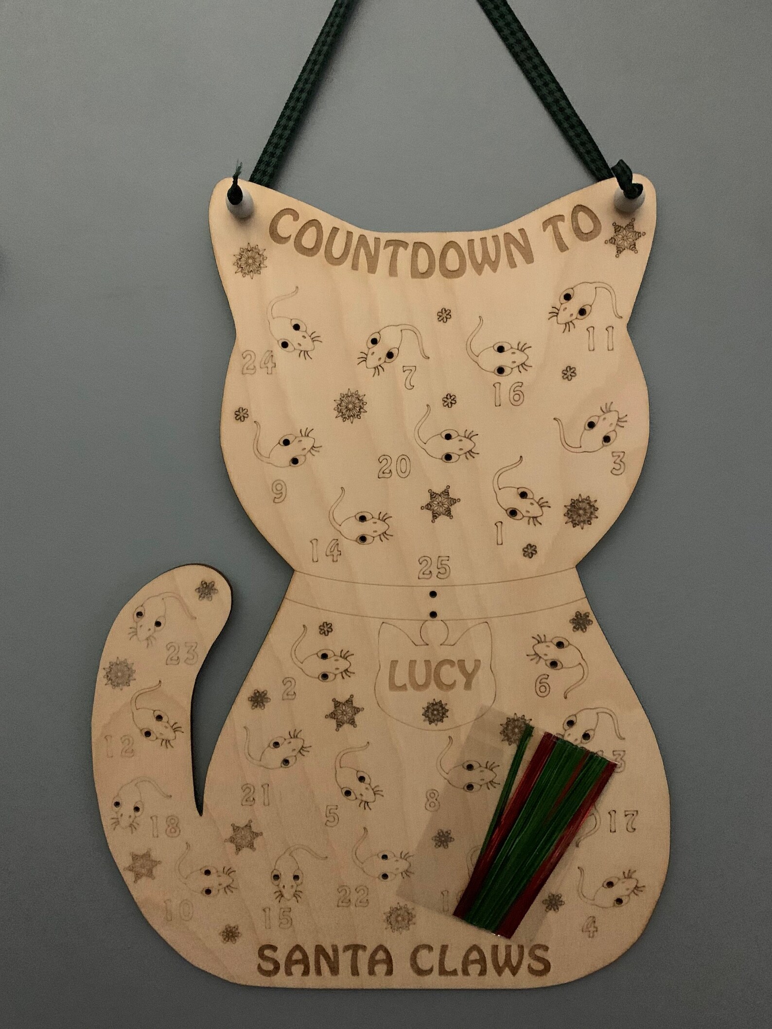 Reusable Custom Cat Advent Calendar, Pet Christmas Countdown, Christmas ...