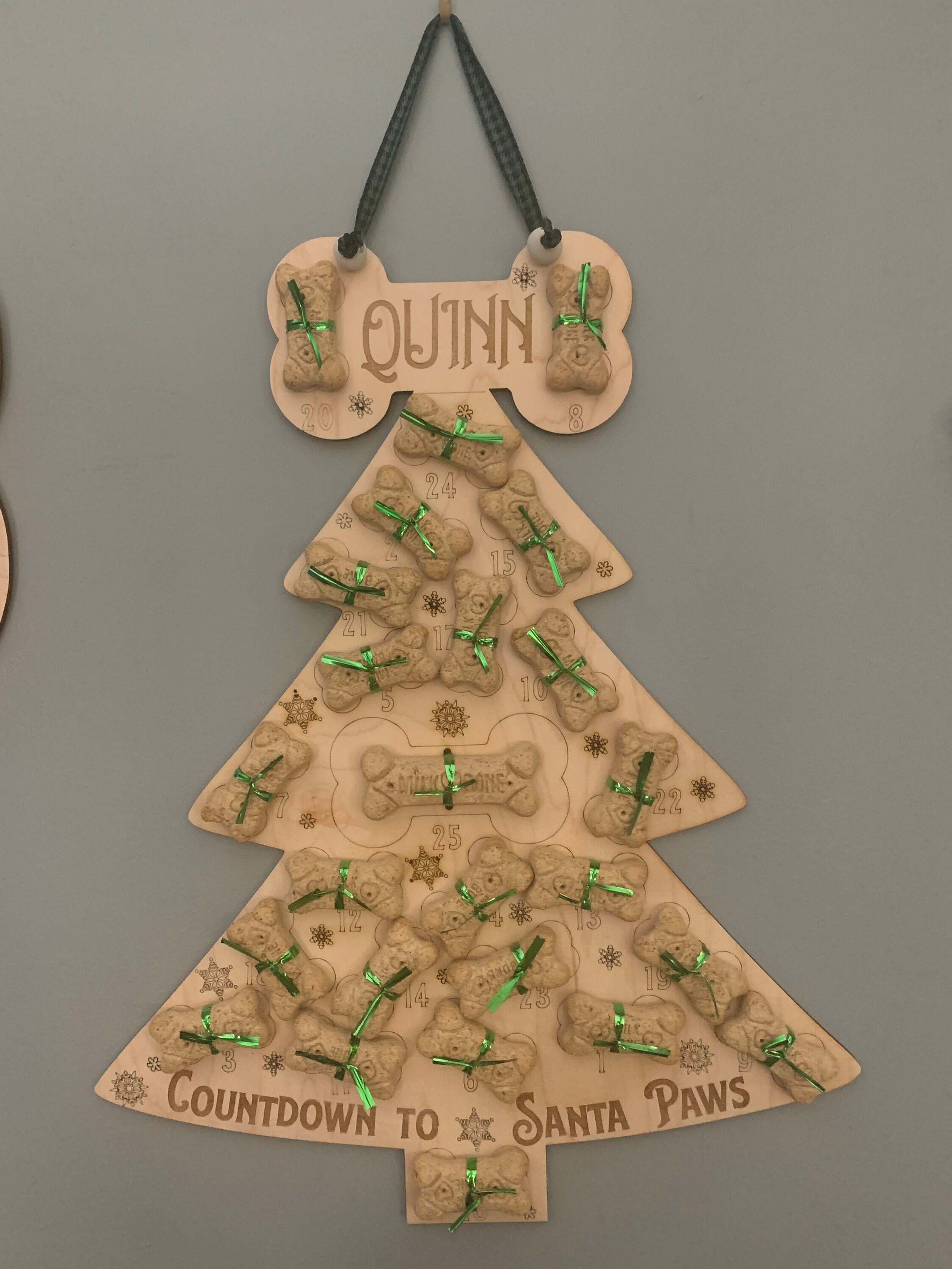 Reusable Custom Dog Advent Calendar, Pet Christmas Countdown, Christmas ...