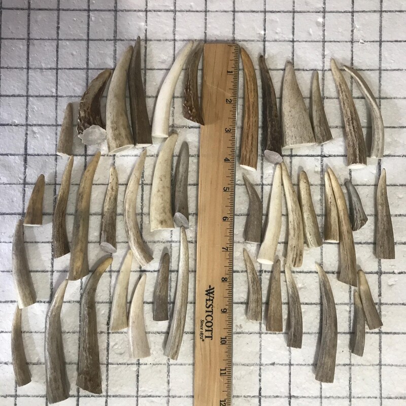 Small Antlers for Handles - Etsy