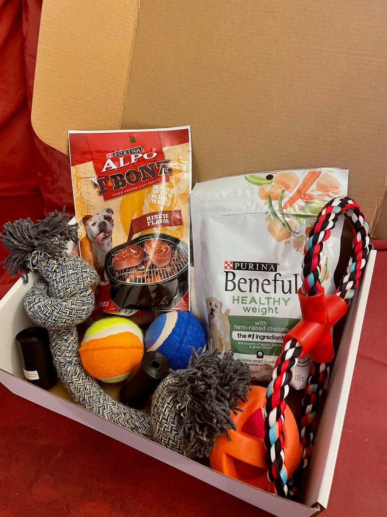 Dog Gift Box New Puppy Gift Box Dog Toy Basket Pup - Etsy
