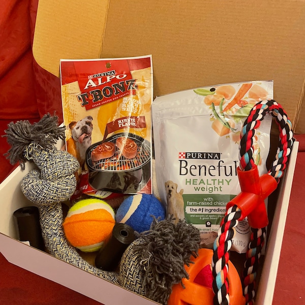 New Puppy Gift - 60+ Gift Ideas for 2024