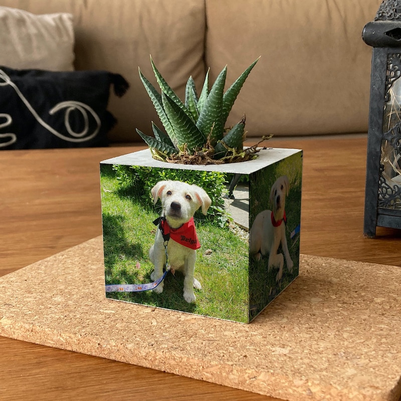 Memory Plant Holder - Etsy