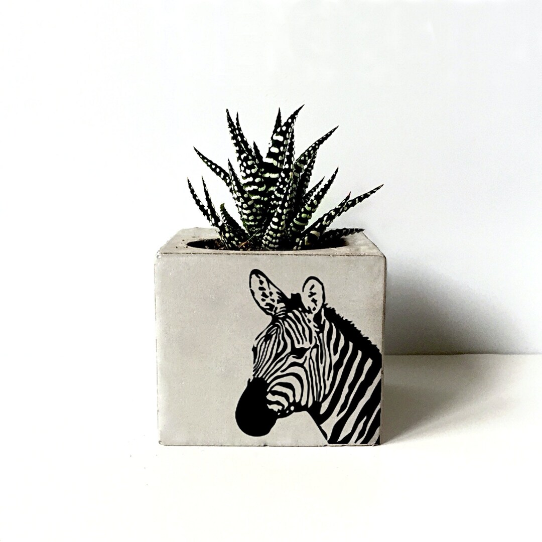 Zebra Printed Concrete Planter, Personalized Gifts, Succulent Holder ...