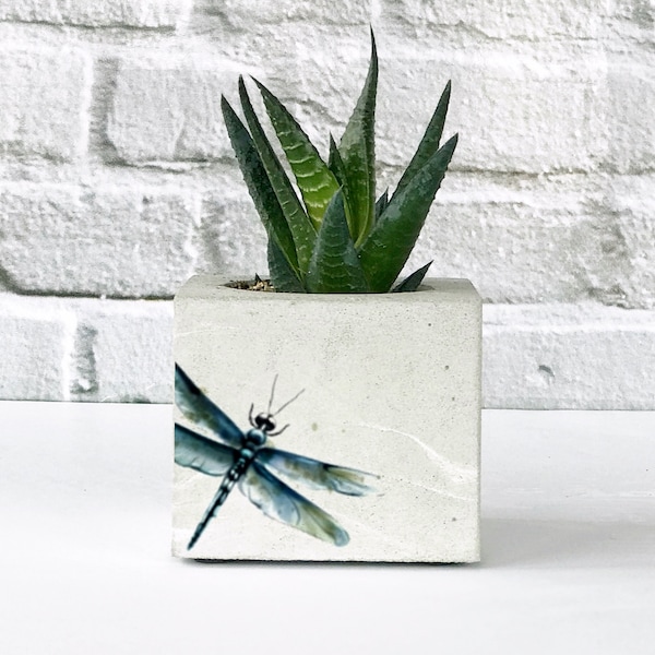 Planter - Etsy
