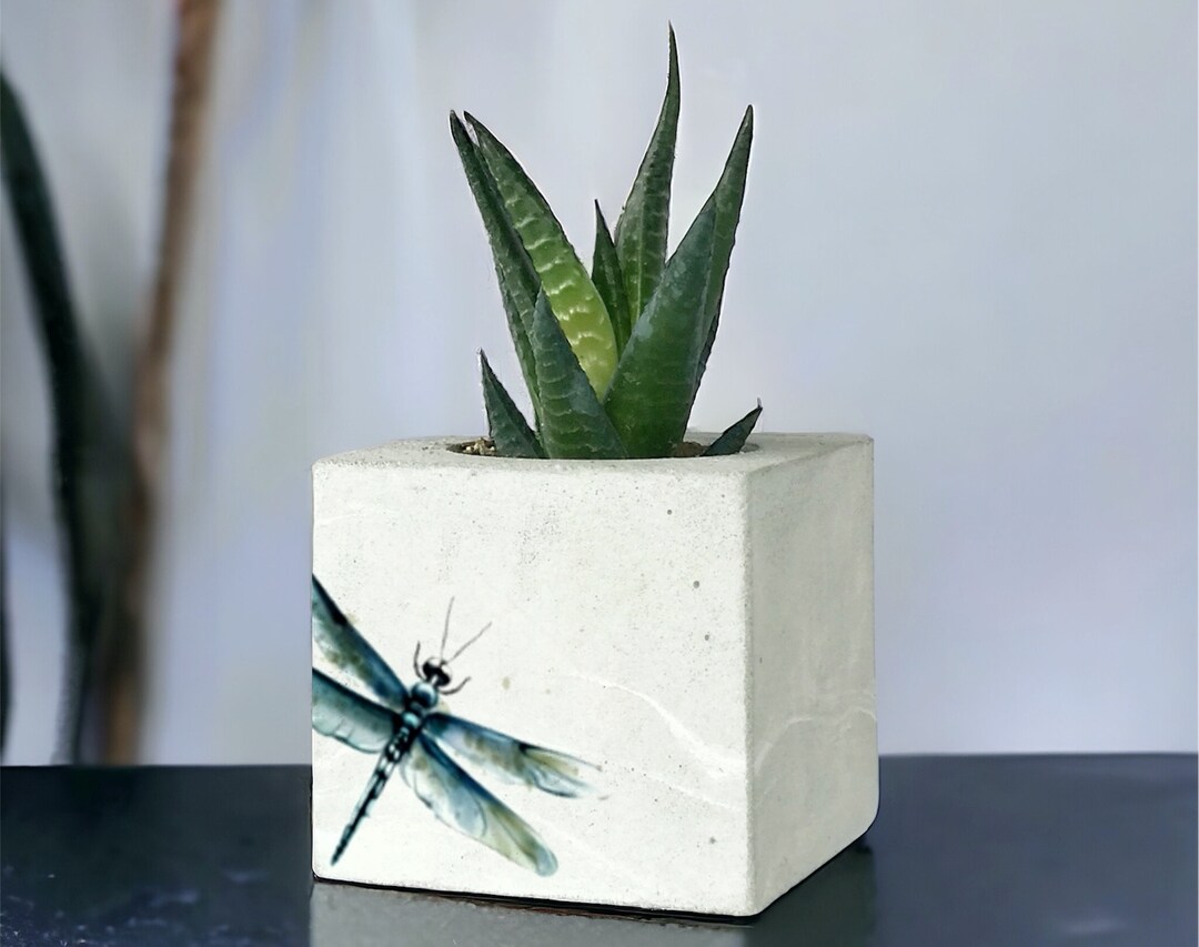 Dragonfly Printed Concrete Planter, Concrete Pot, Succulent Holder With ...