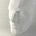 Human Face, Artist Sculpture, Papercraft Face, Human Papercraft, Face ...