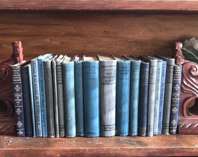 20 Little Blue Books-instant Library That Features Classical Literature ...
