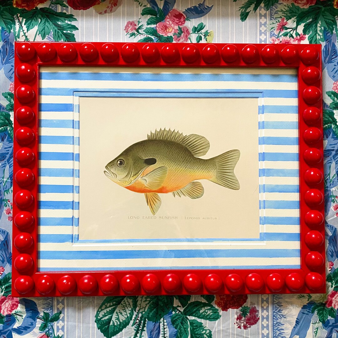 Antique Fish Print, Denton, Bobbin Frame - Etsy