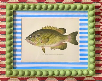 Antique Fish Print, Denton, Bobbin Frame - Etsy