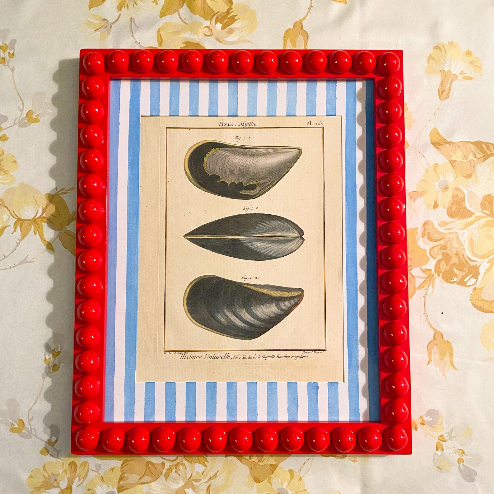 Antique Fish Print, Denton, Bobbin Frame - Etsy