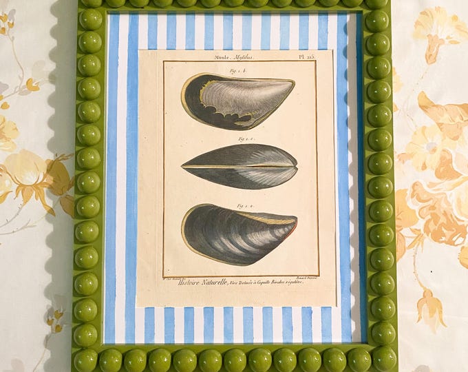 Antique Fish Print, Denton, Bobbin Frame - Etsy