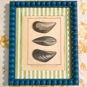 Antique Fish Print, Denton, Bobbin Frame - Etsy