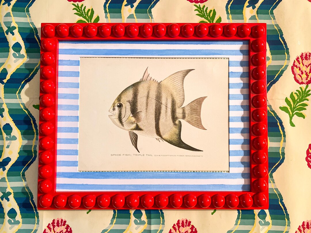 Antique Fish Print, Denton, Bobbin Frame - Etsy