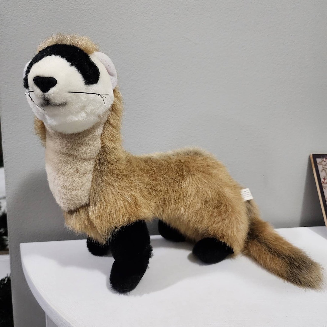Black Footed Ferret Plush Stuffed Animal Ranger Rick's - Etsy