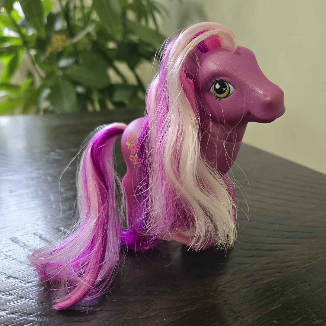 My Little Pony Cherry Blossom Generation 3 G3 Retired MLP - Etsy