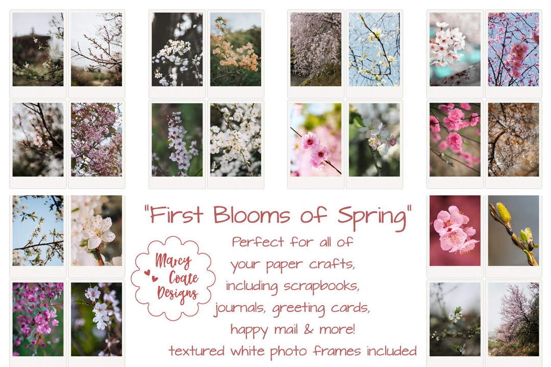 First Blooms of Spring Photos With White Frames, Perfect for Junk ...