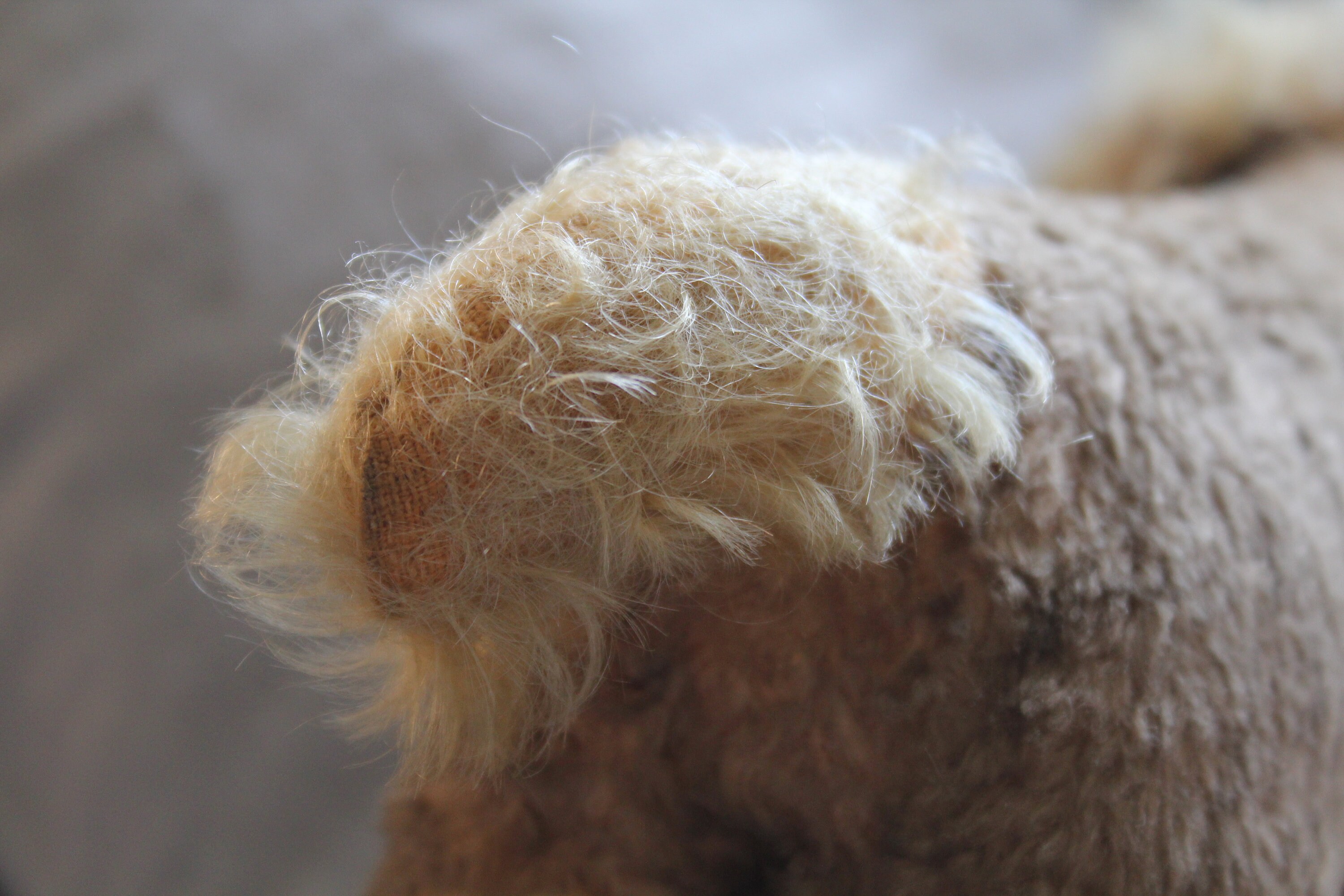 Lovely Vintage Chad Valley Straw Filled Dog - Etsy