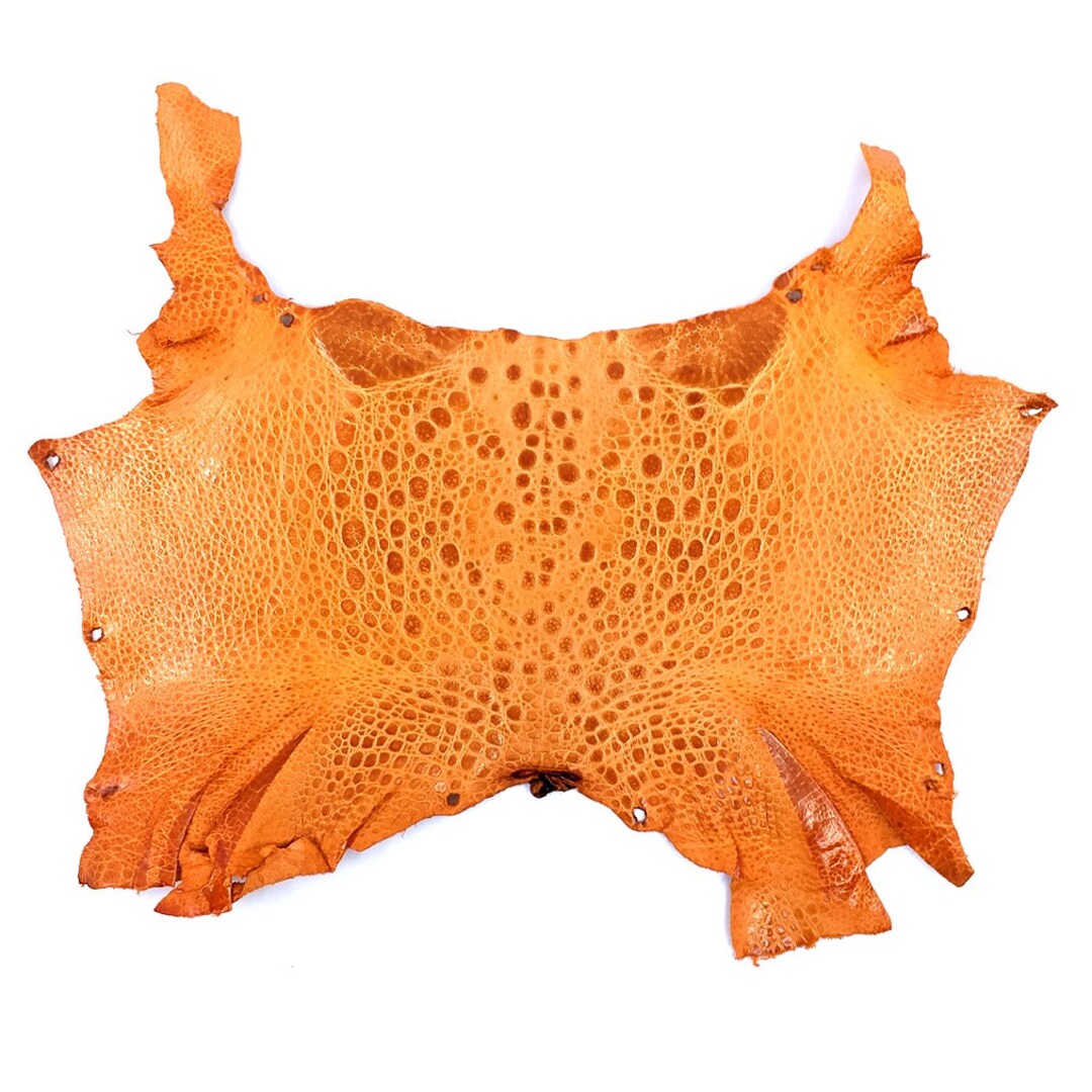 Bufo Marinus Cane Toad Skin Professionally Dyed Leather Glossy Orange ...