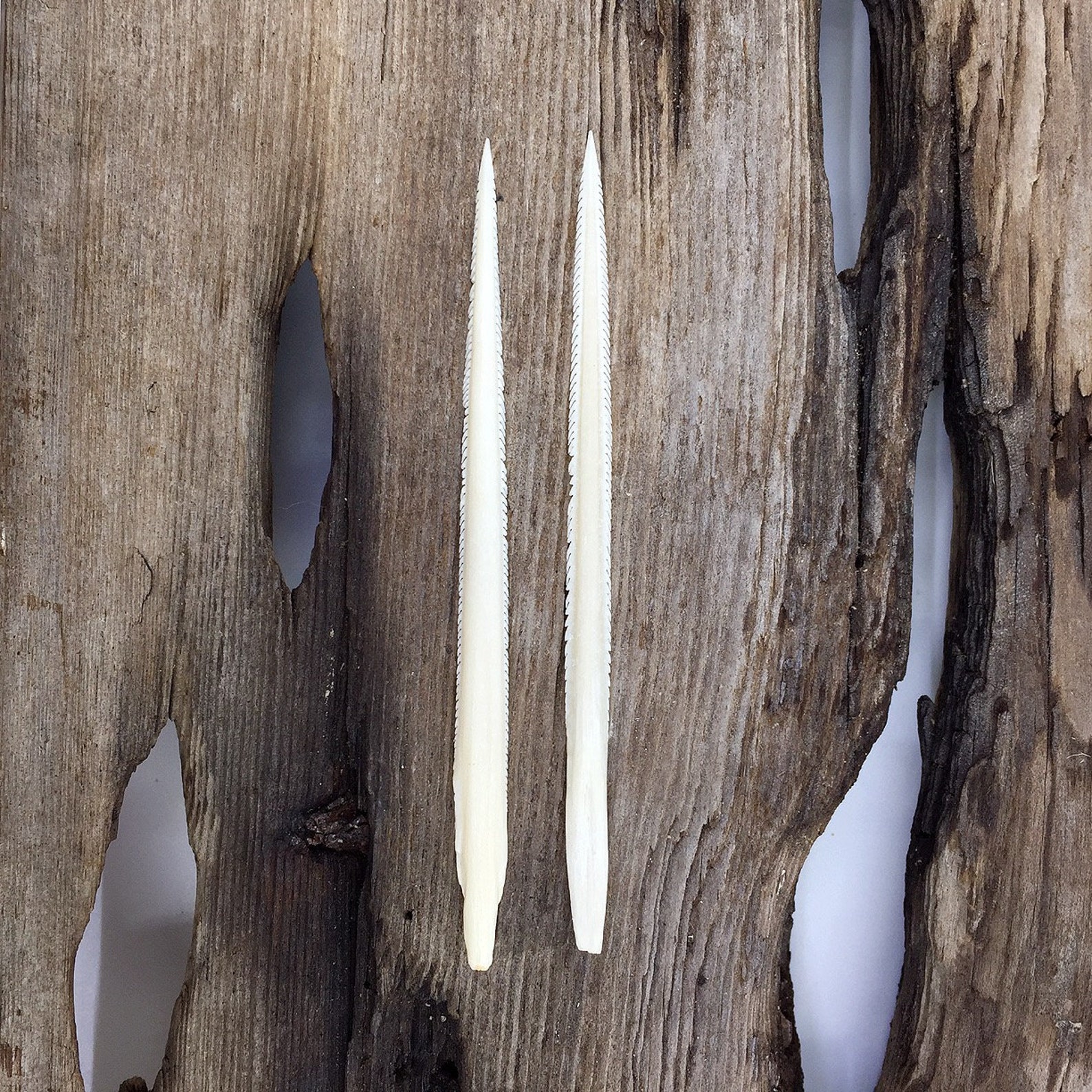 Hand Select Stingray Barbs 4.5" Set of 2 Group 1 - Etsy