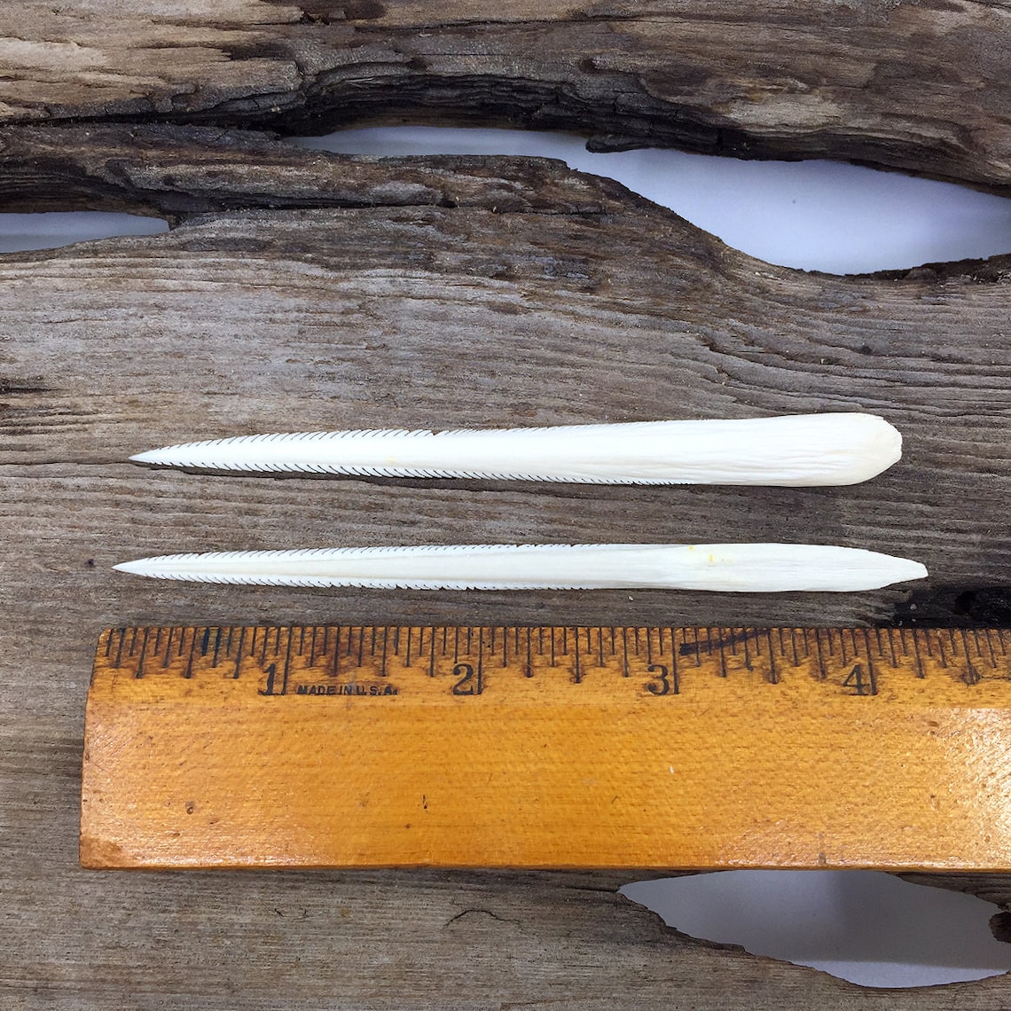 Hand Select Stingray Barbs 4.25 Set of 2 Group 1 | Etsy