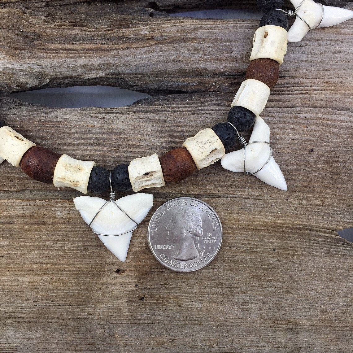 Large 1 and 15/16 Modern Bull Shark Tooth | Etsy