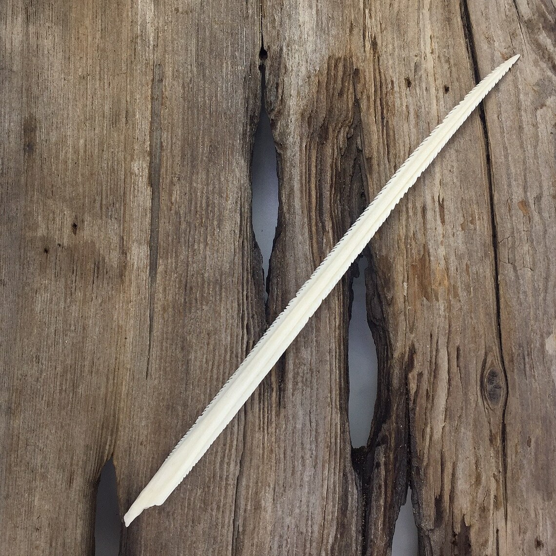 Hand Select Stingray Barb 7.25 Individual 3 | Etsy