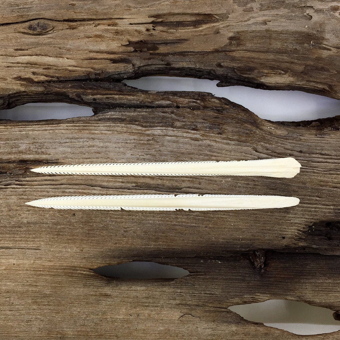 Hand Select Stingray Barbs 5" Set of 2 Group 2 - Etsy