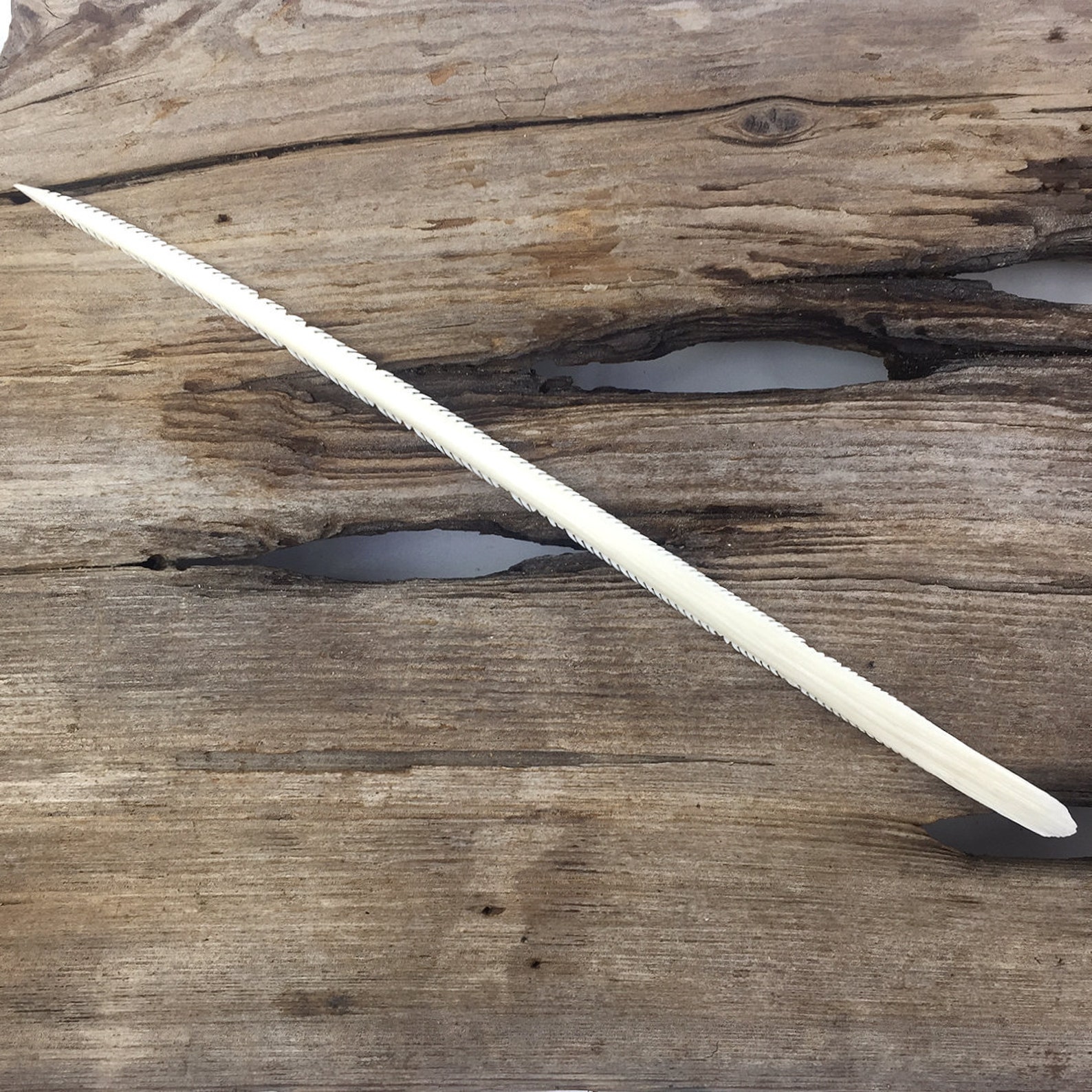 Hand Select Stingray Barb 7.75 Individual 1 | Etsy