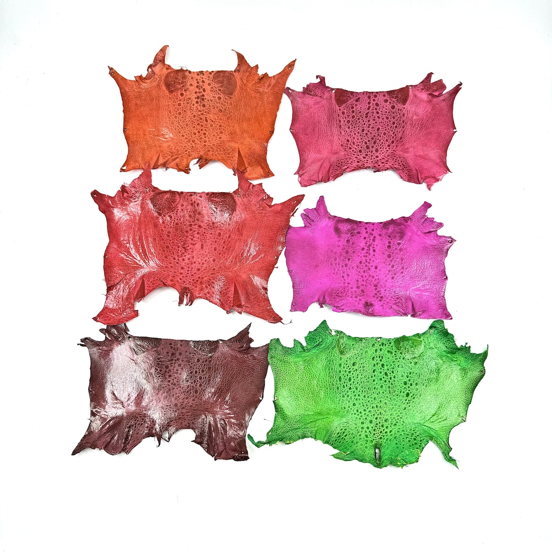 Bufo Marinus Cane Toad Skin Professionally Dyed Leather Gloss ...