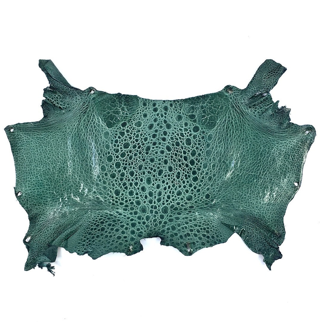 Bufo Marinus Cane Toad Skin Professionally Dyed Leather Glossy Moss ...