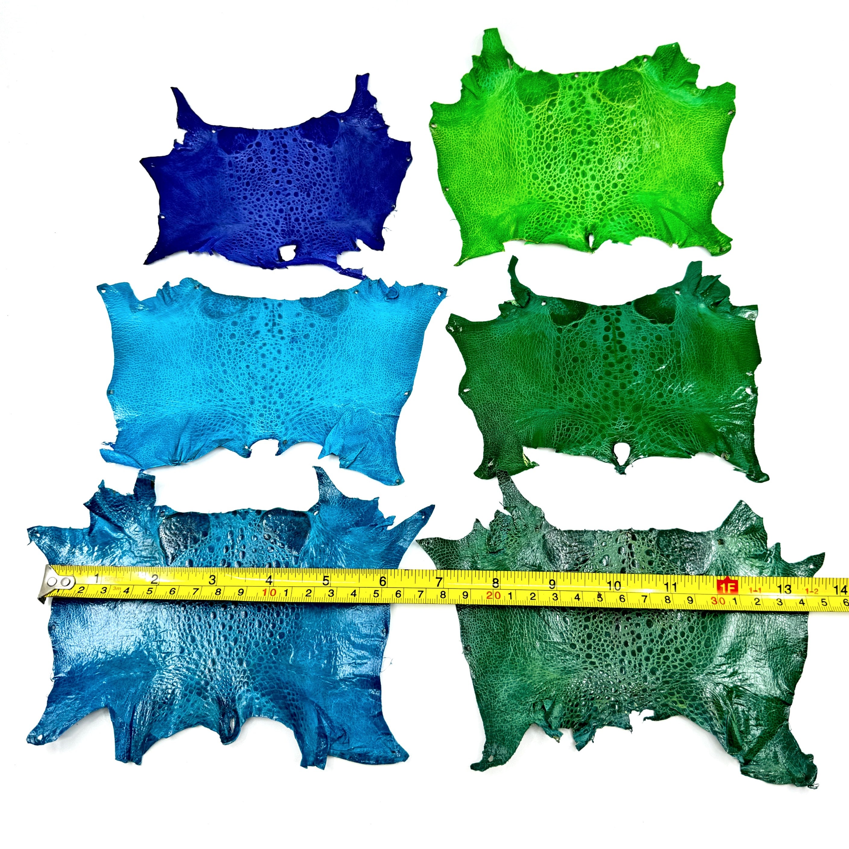 Bufo Marinus Cane Toad Skin Professionally Dyed Leather Gloss ...